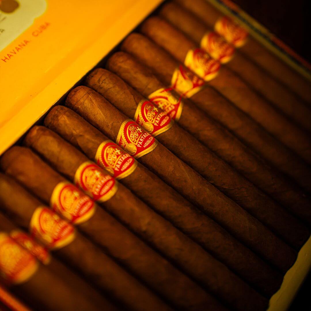 Home | La Casa Del Habano Morocco